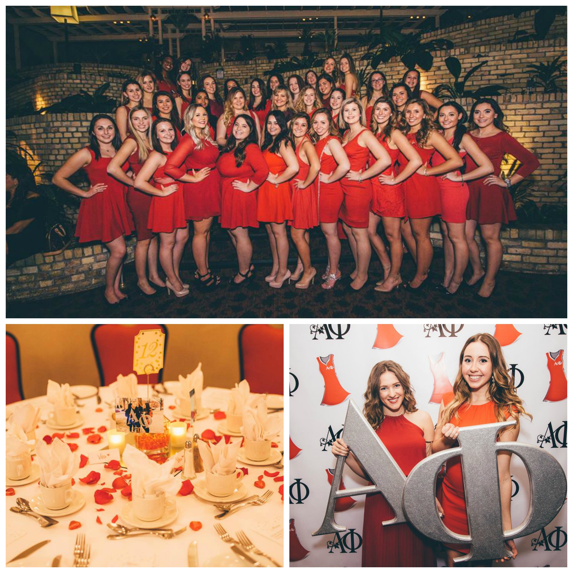 Chapter Spotlight – Theta Eta (Western University) - Alpha Phi Foundation